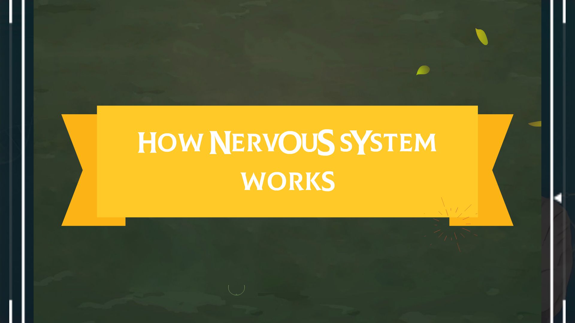 how nervous system works. - Animated Video By daino pepito - Mango Animate