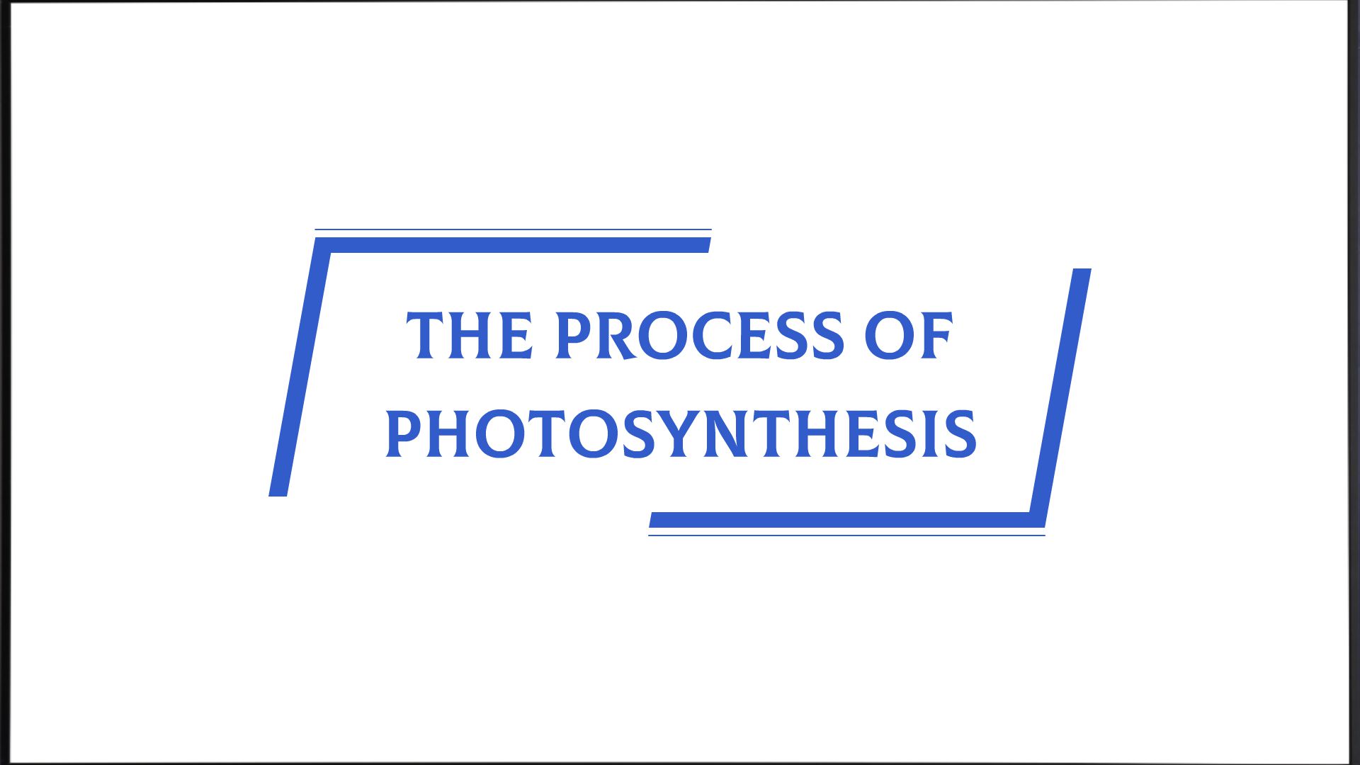 The Process of Photosynthesis. - Animated Video By Animation_Maestro ...