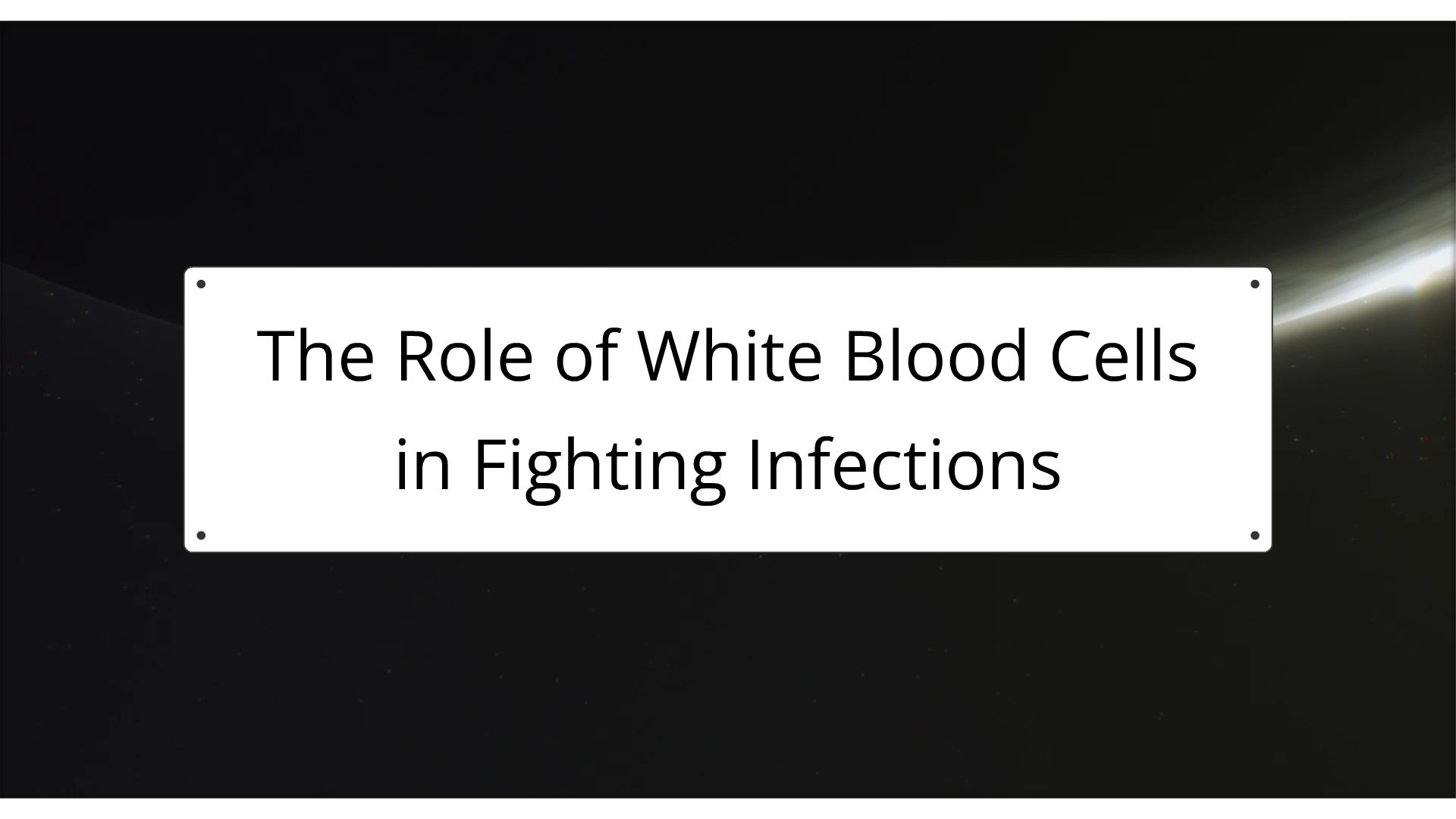 The Role of White Blood Cells in Fighting Infections. - Animated Video ...