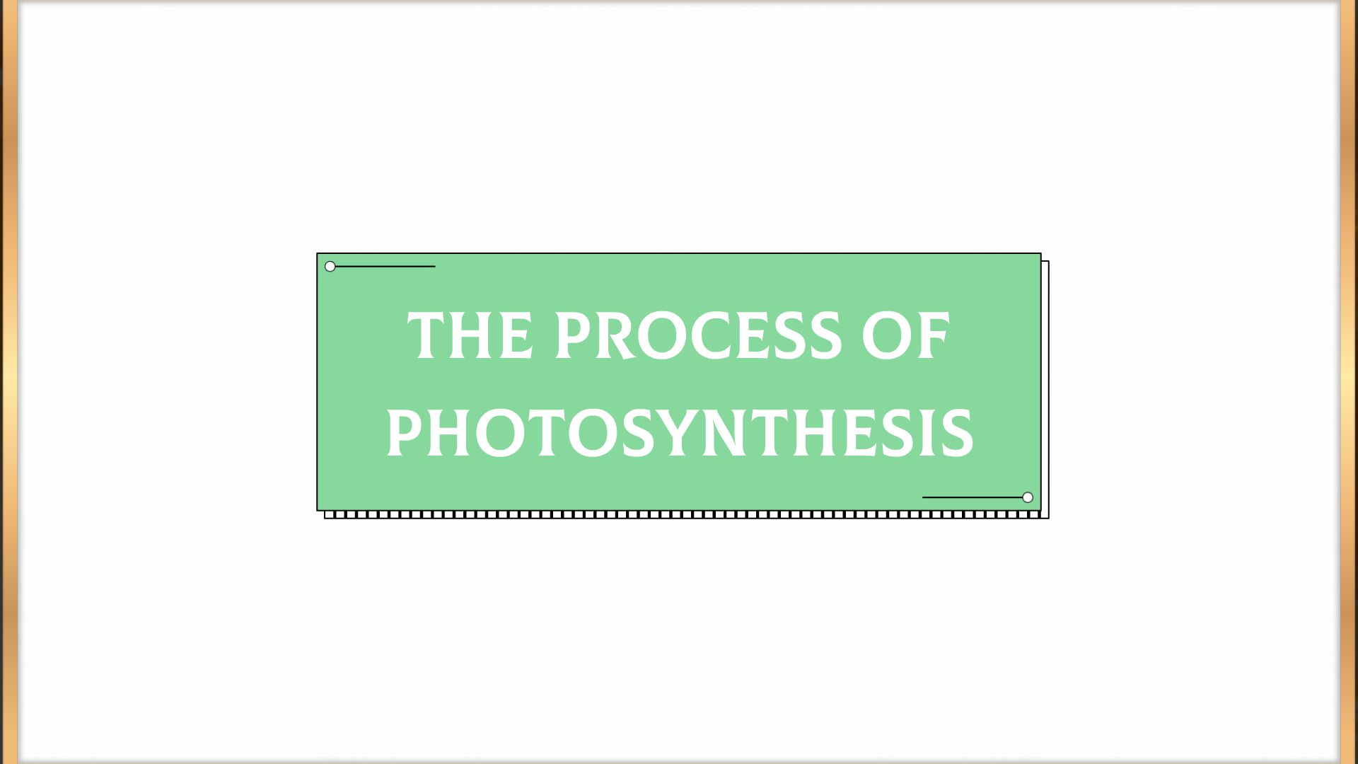 The process of photosynthesis. - Animated Video By Anime_Critic - Mango ...