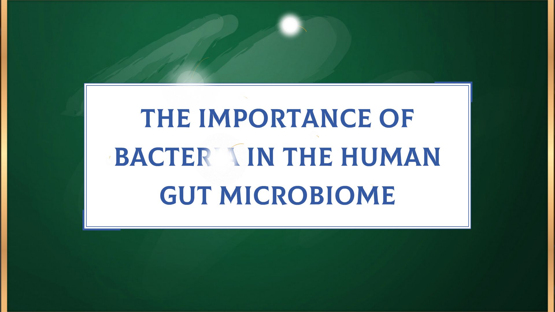 The Importance of Bacteria in the Human Gut Microbiome. - Animated ...