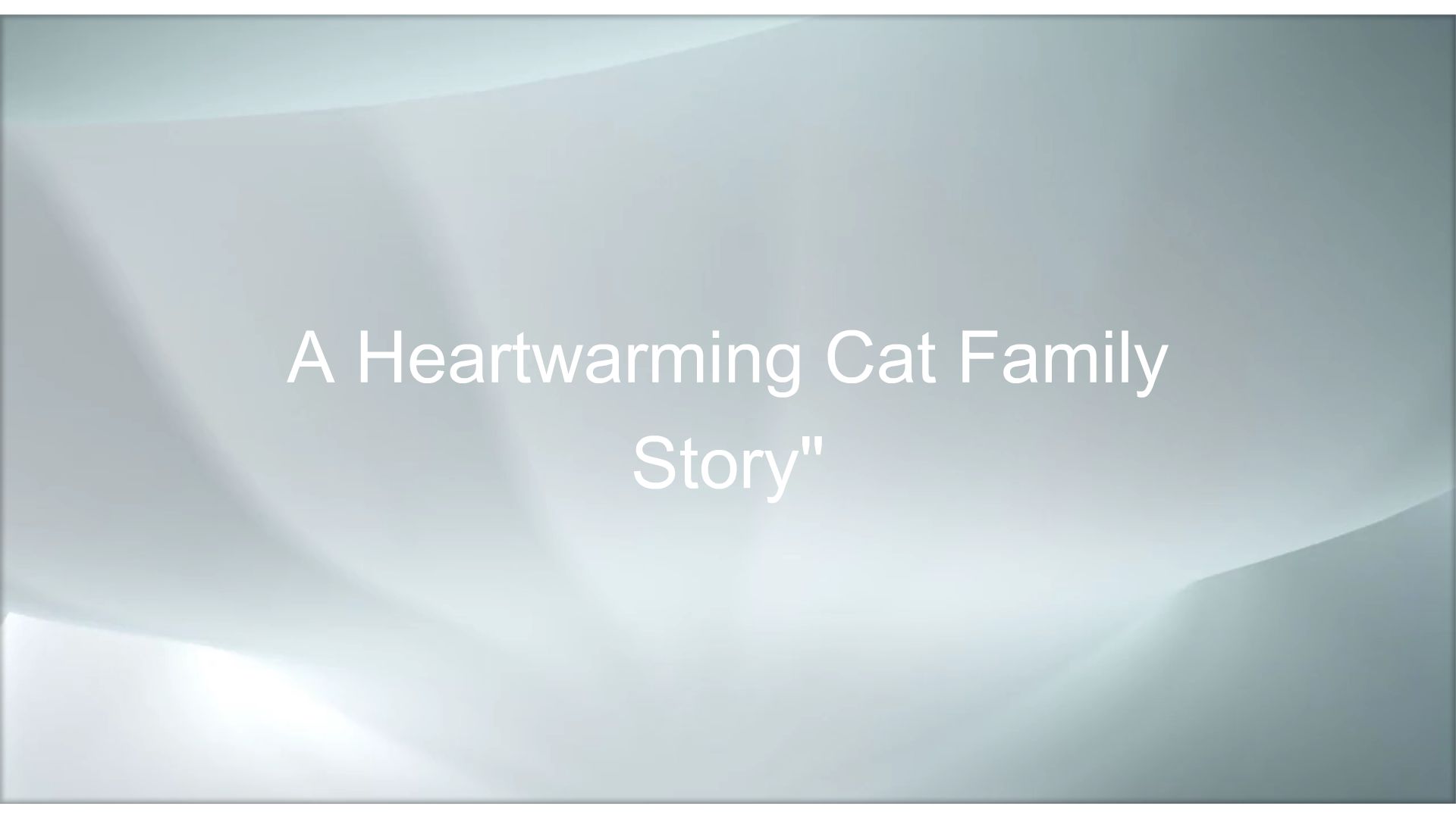 A Heartwarming Cat Family Story". - Animated Video By Santosh panda ...