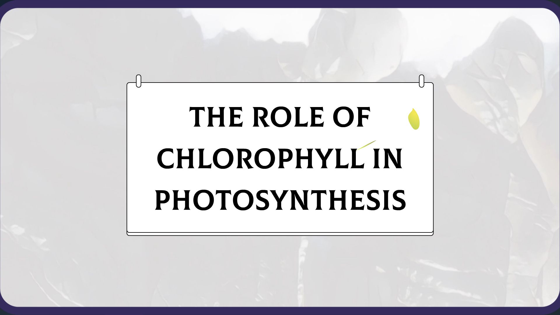 The role of chlorophyll in photosynthesis. - Animated Video By Animated ...