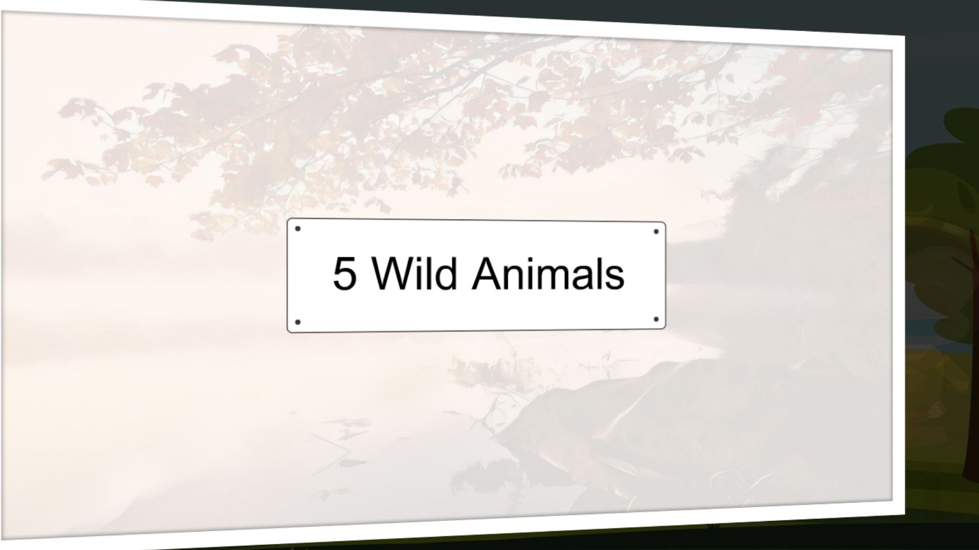 5 Wild Animals. - Animated Video By monkeyking144643 - Mango Animate
