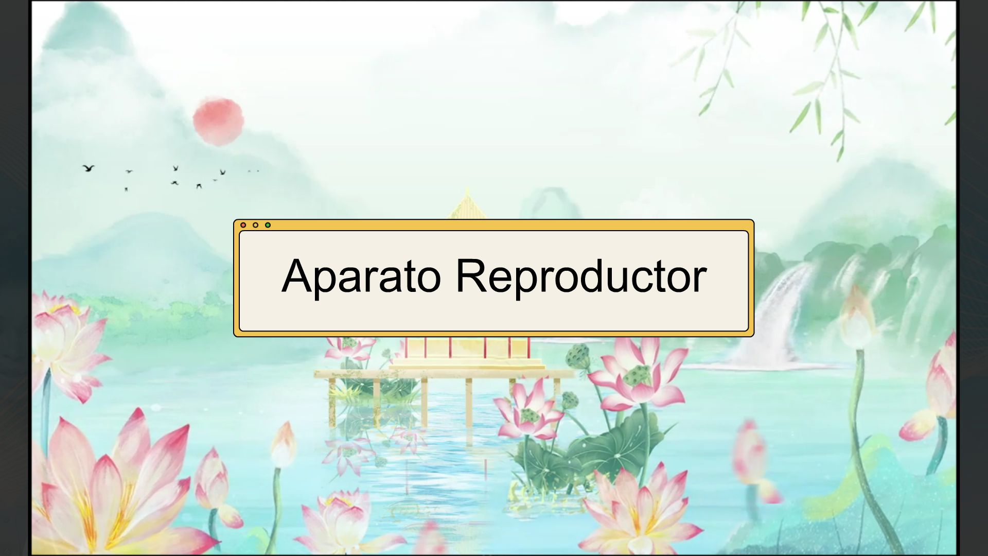 Aparato Reproductor. - Animated Video By kinih65189 - Mango Animate