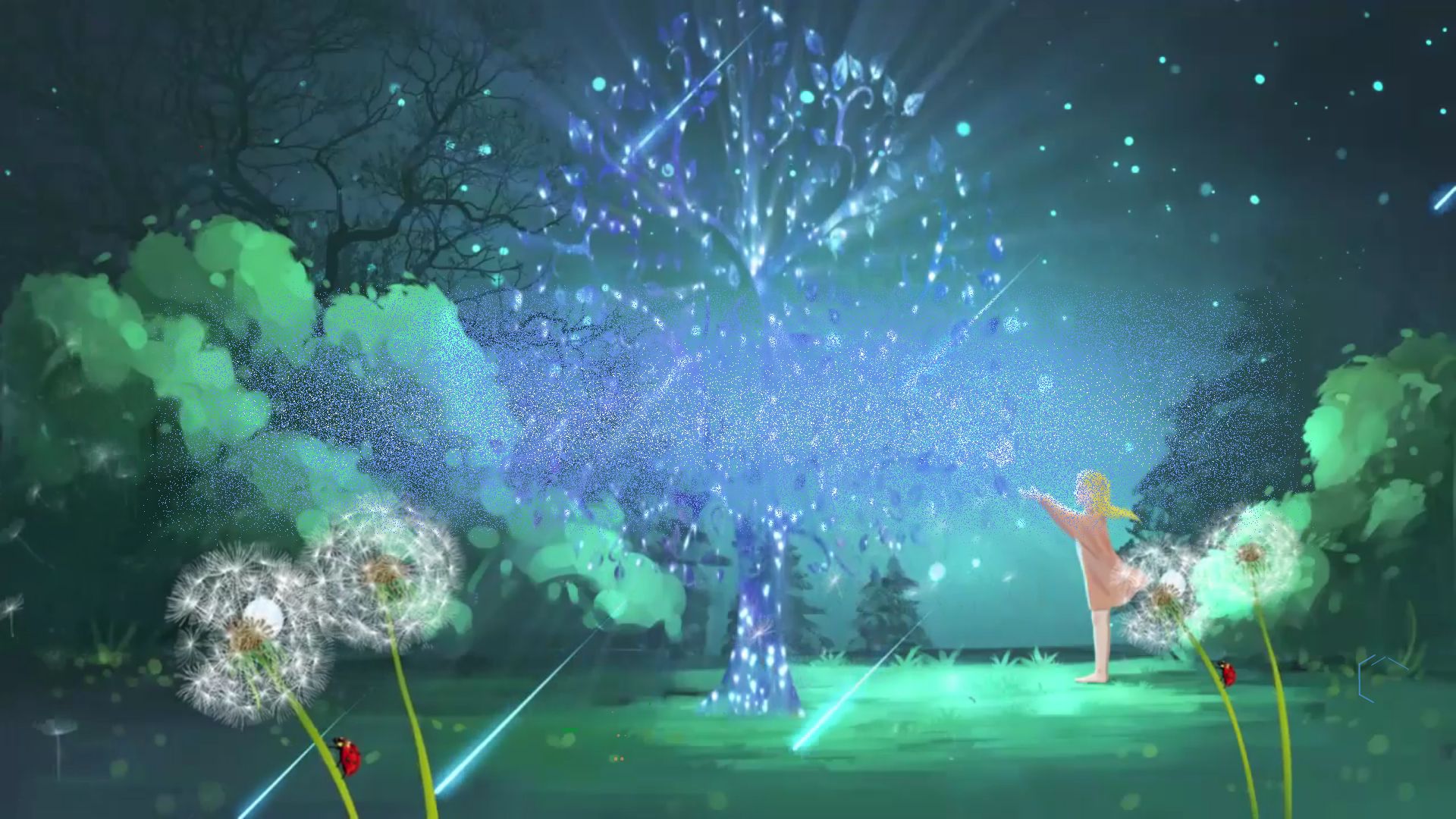 The Proud Teak Tree Animated Video By Moreprashali Mango Animate