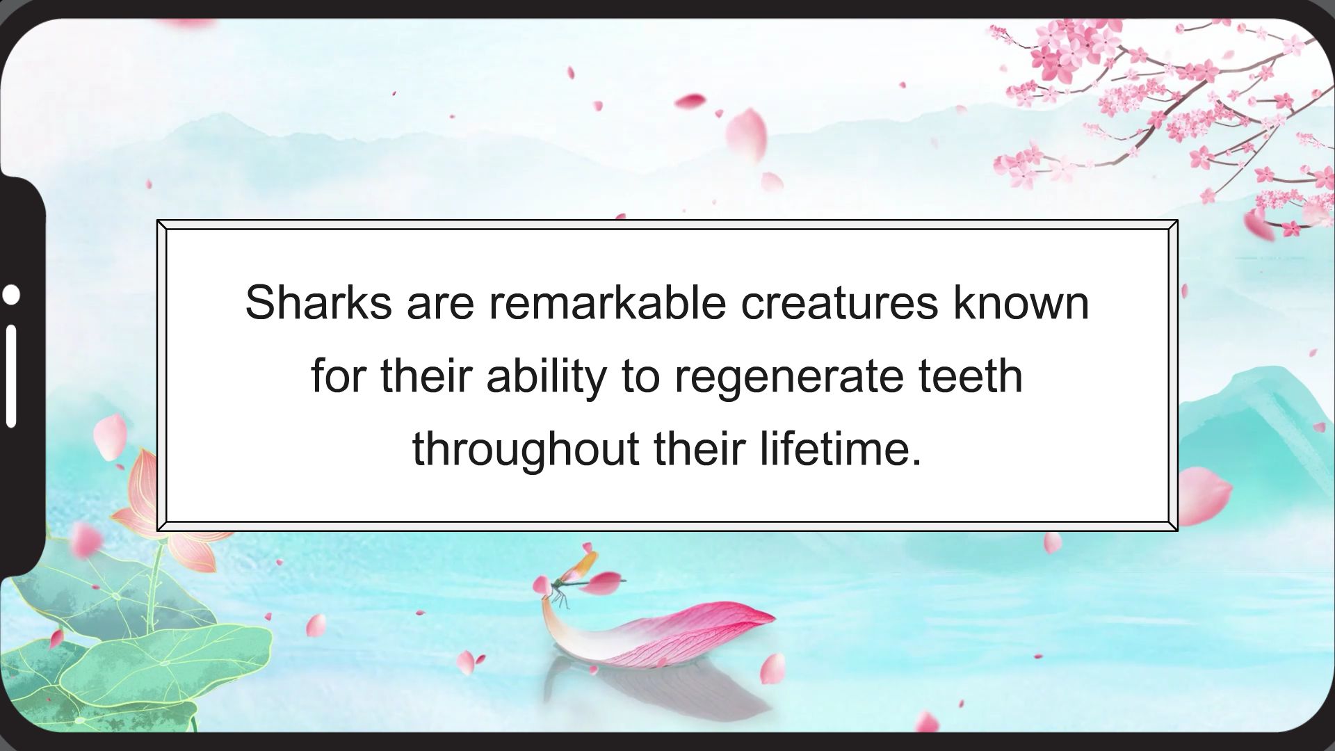 Sharks are remarkable creatures known for their ability to regenerate ...