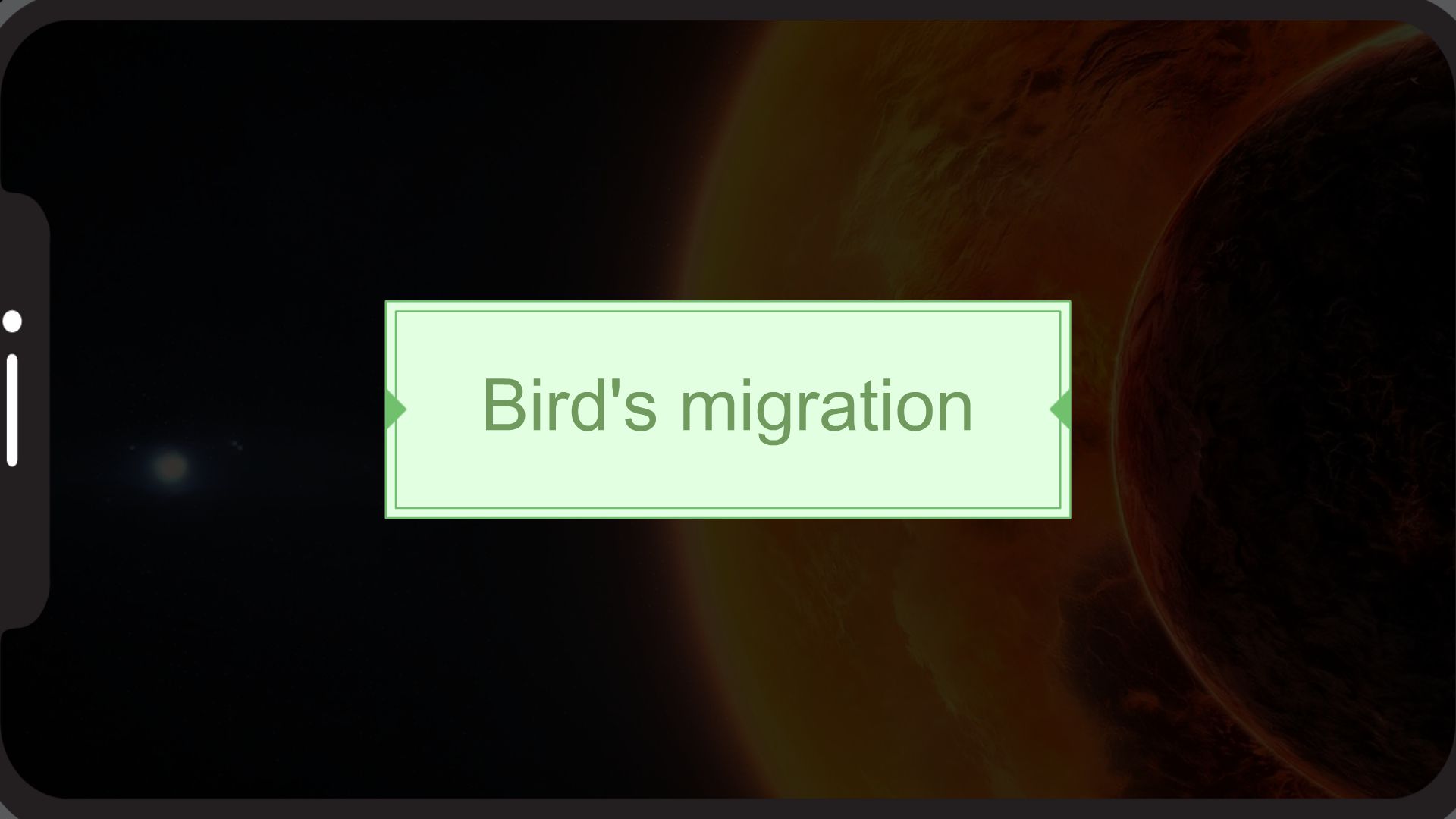 Bird's migration. - Animated Video By Habib Mm - Mango Animate