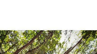 ee animated text video created by omidmk73 - Mango Animate Text Video Maker